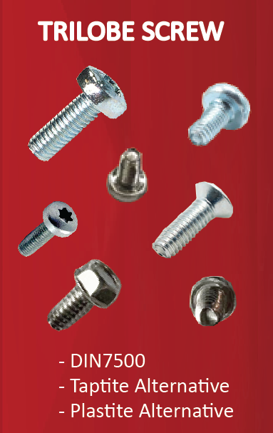 seller information : Trilobe thread screws