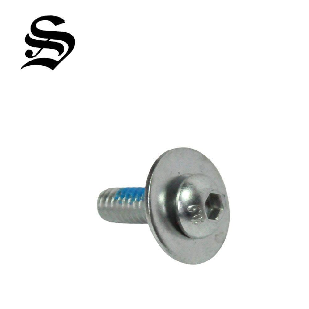 seller information : SEMS screw