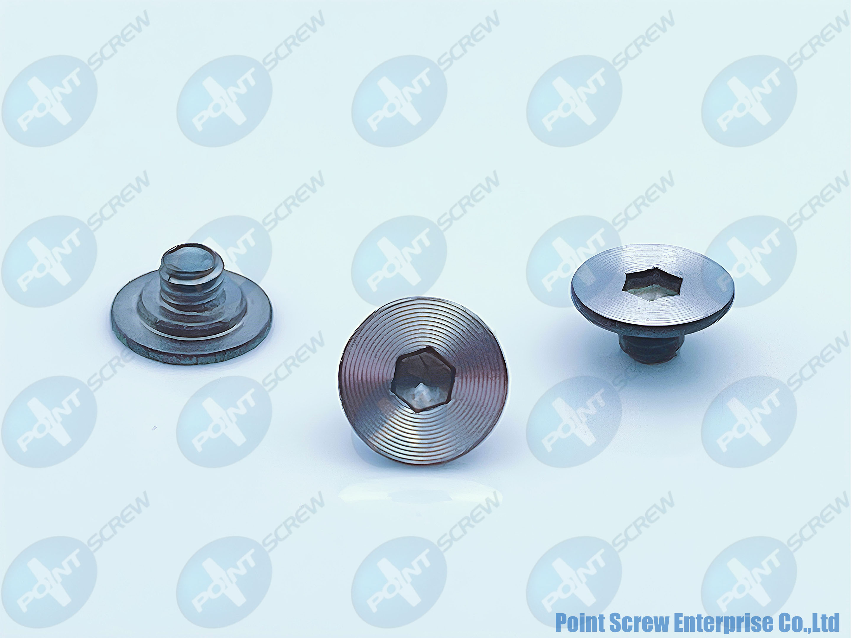 seller information : CD Pattern Screw